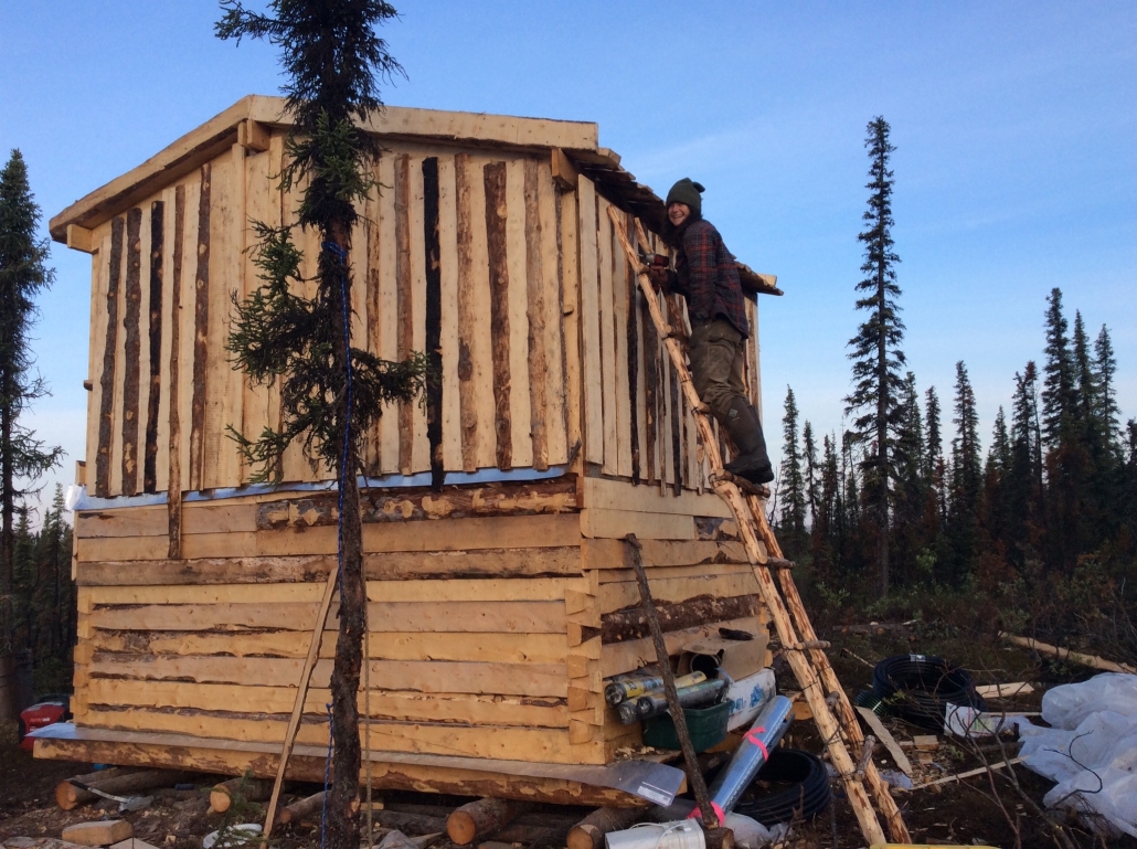 Homestead Blog: Wilderness Homestead Living