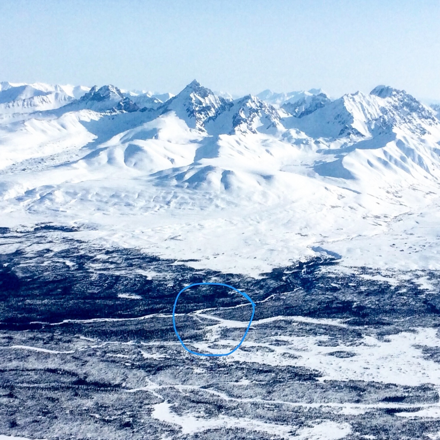 Going Remote - Apricity Alaska