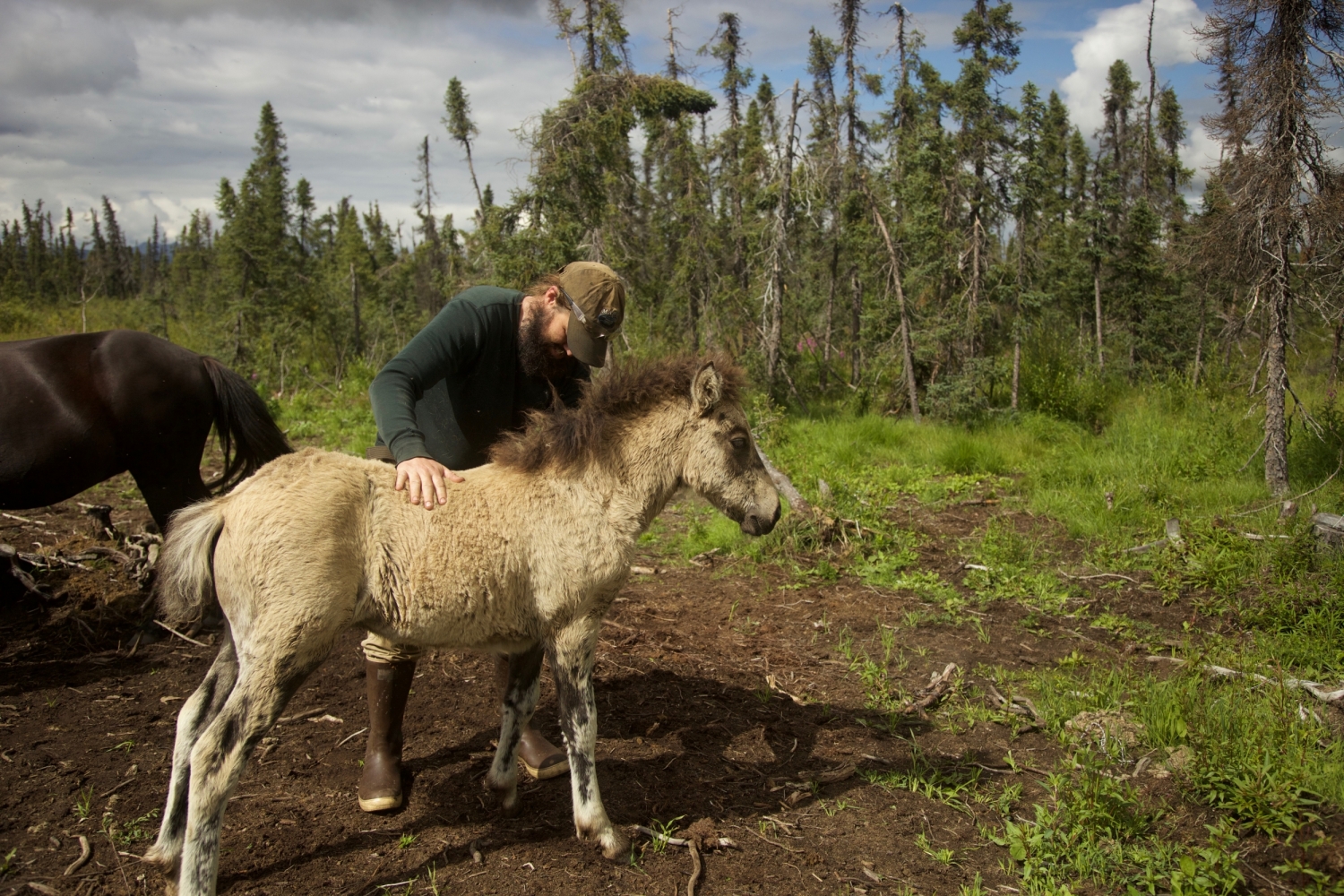 Homestead Blog: Wilderness Homestead Living
