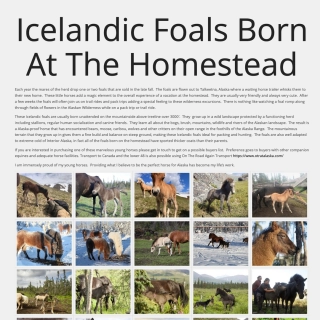 Authentic Wilderness Homestead Experiences in Remote, Off-Grid Alaska!